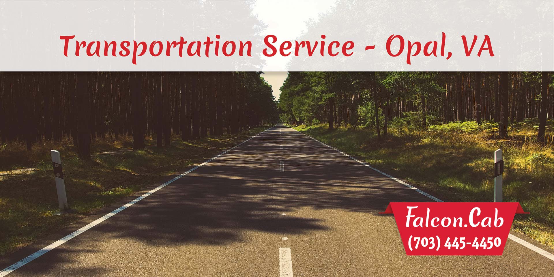 Falcon.Cab | Transportation Service in Opal | Call (703) 445-4450