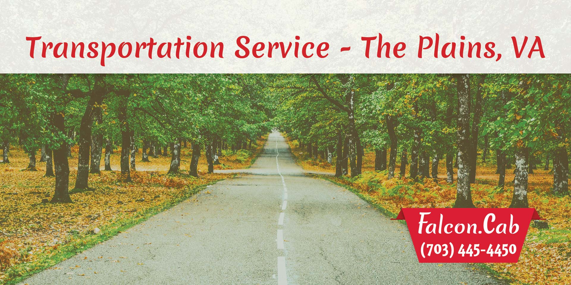 Falcon.Cab | Transportation Service in The Plains | Call (703) 445-4450