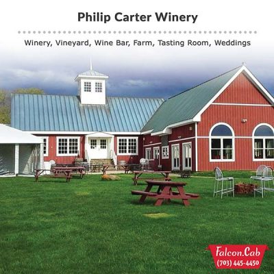 Popular Wineries & Vineyards in Virginia - Falcon Cab & Falcon Tours